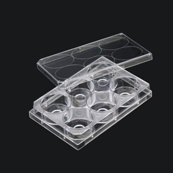 Glass Bottom Plates – BlueBlack Medical & Mining Suppliers – South Africa