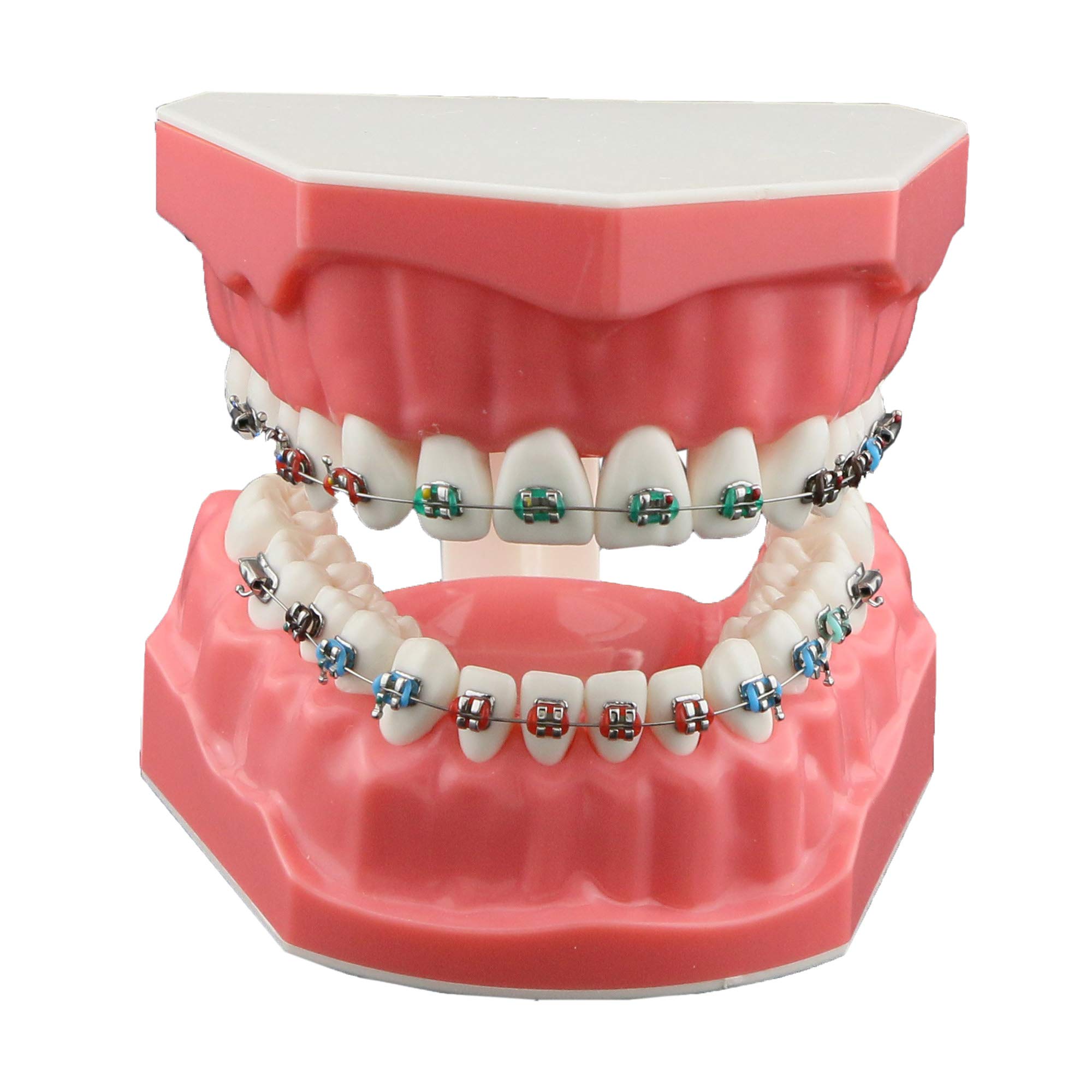 Molar Brackets – BlueBlack Medical & Mining Suppliers – South Africa